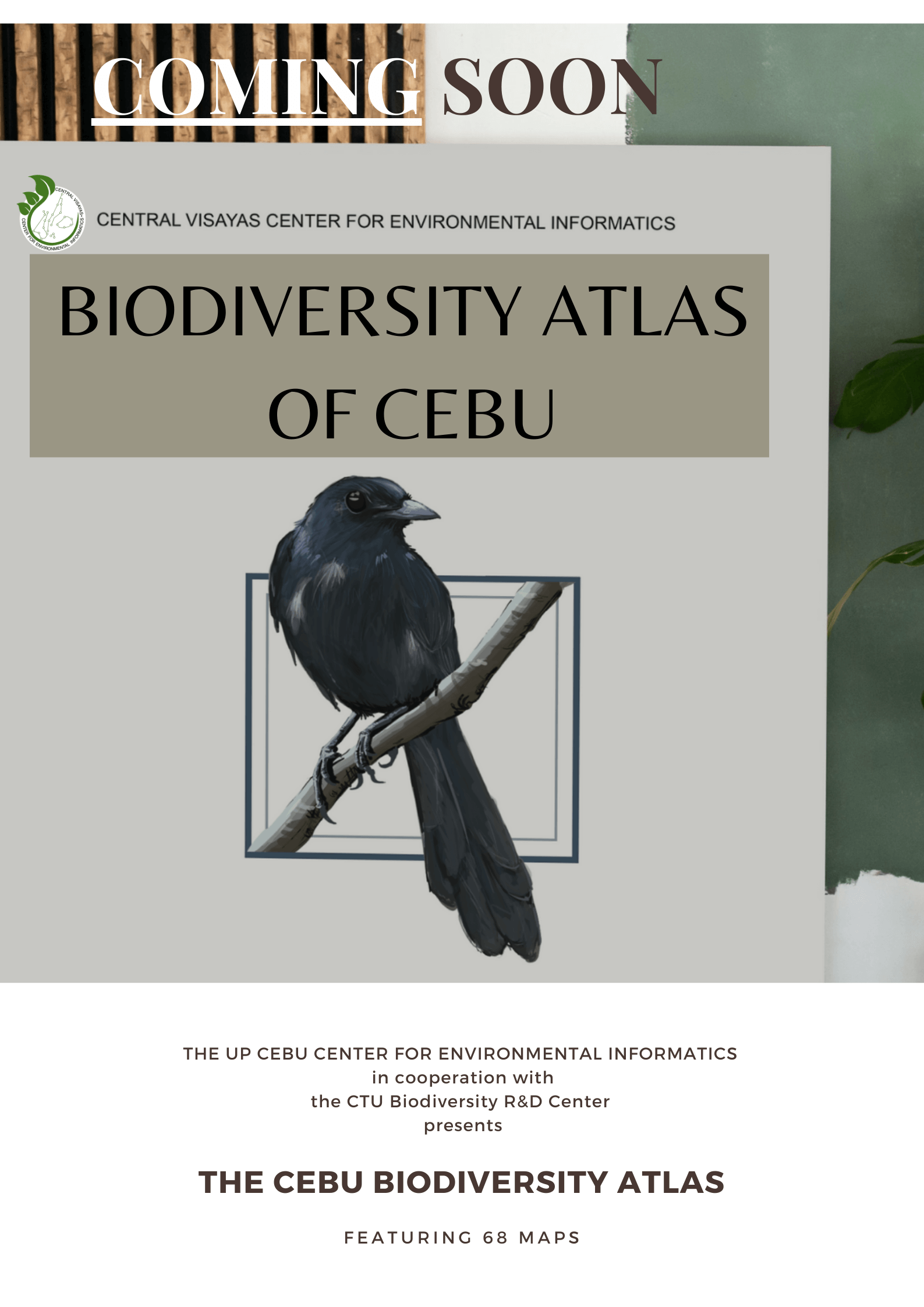 UP Cebu CENVI features in DOSTs Science for the People Book Series ...